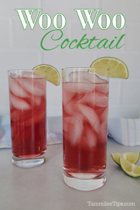 Woo Woo Drink Recipe