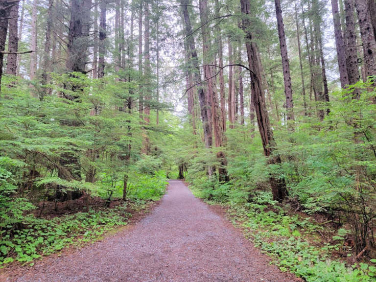 Epic Guide to Sitka National Historical Park