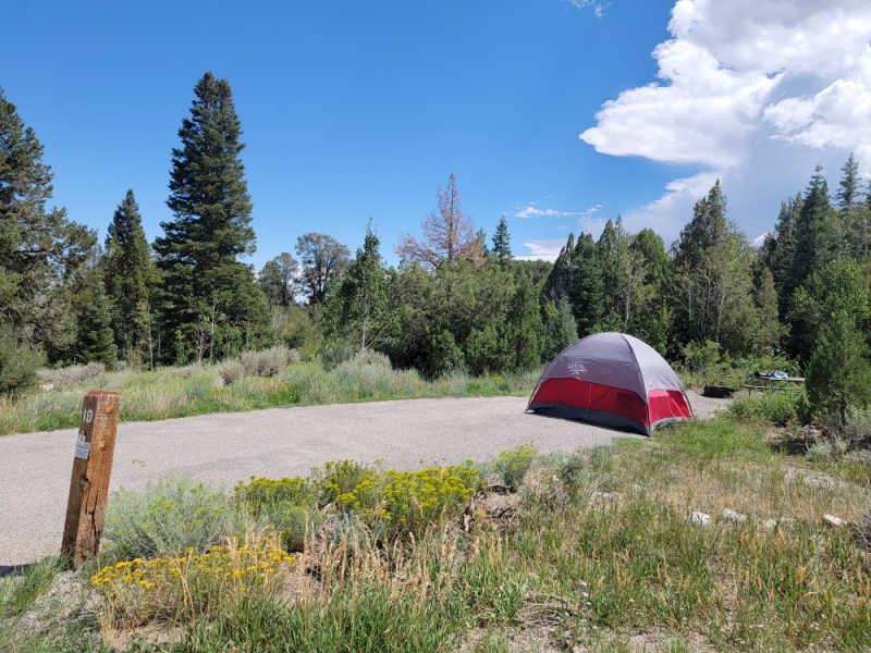 Lower Lehman Creek Campground - Great Basin National Park