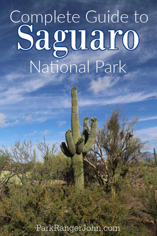 Complete Guide to Saguaro National Park
