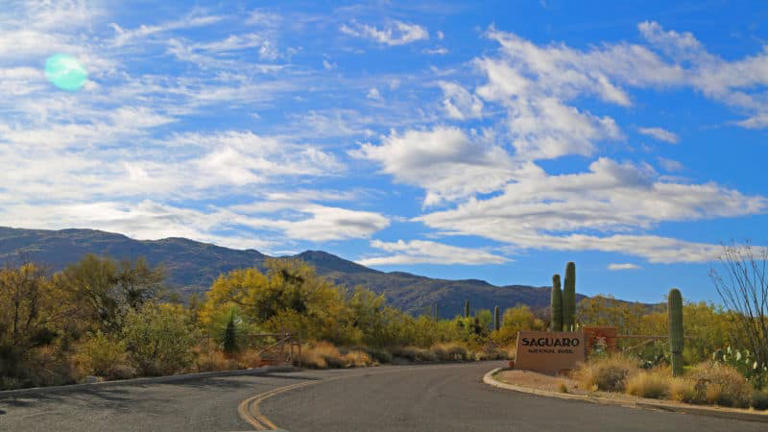 Complete Guide to Saguaro National Park
