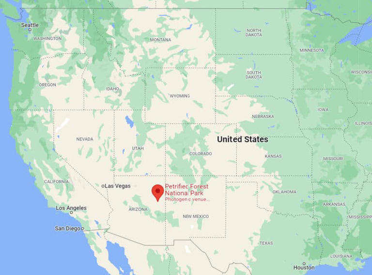 Complete Guide to Petrified Forest National Park