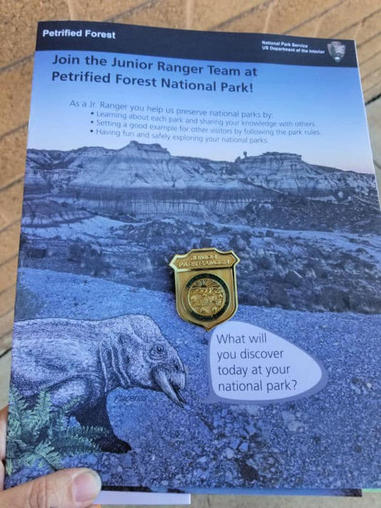 Complete Guide to Petrified Forest National Park