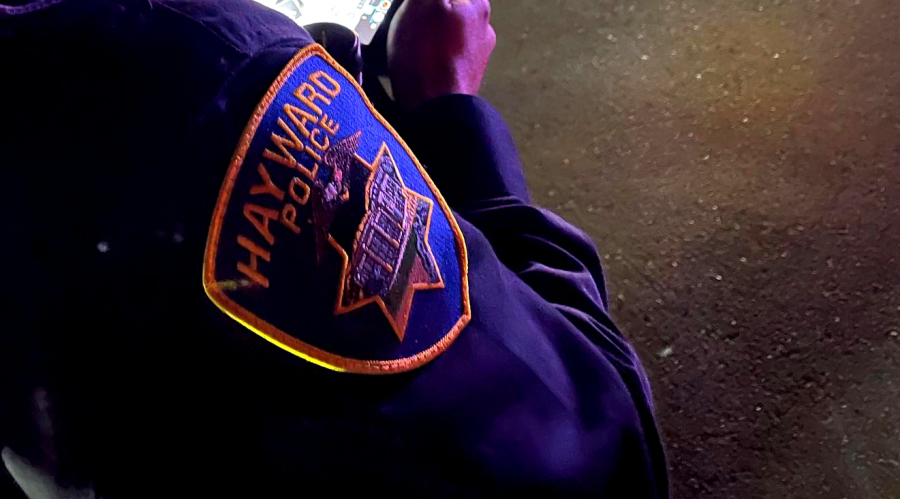 Driver detained in fatal Hayward crash that left woman dead Driver detained in fatal Hayward crash that left woman dead