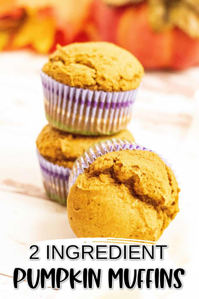 Two Ingredient Pumpkin Muffins