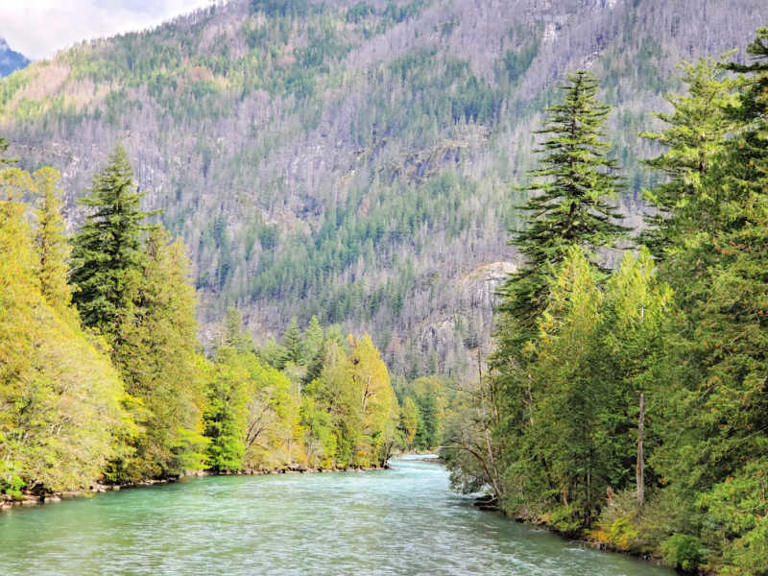 Complete Guide to North Cascades National Park