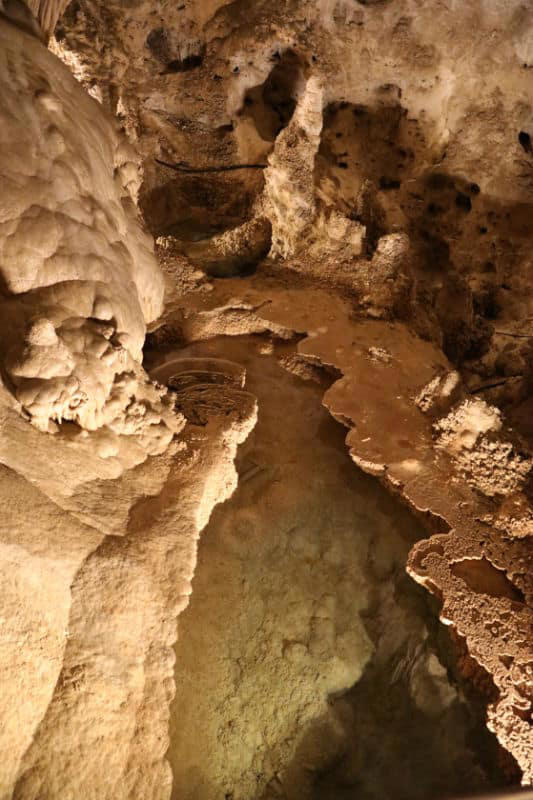 Complete Guide to Carlsbad Caverns National Park