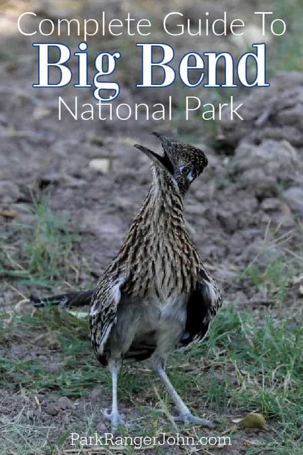 Complete Guide to Big Bend National Park