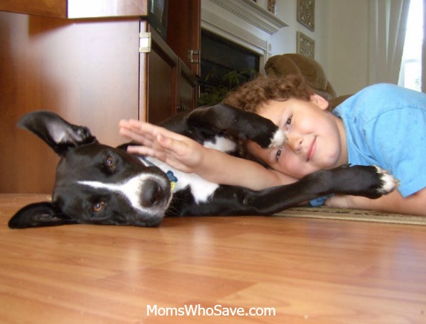 How to Adopt the Right Pet for Your Family: 5 Important Tips