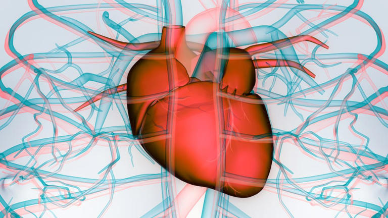 How to Spot and Respond to a Heart Attack: 5 Vital Tips From Cardiologist