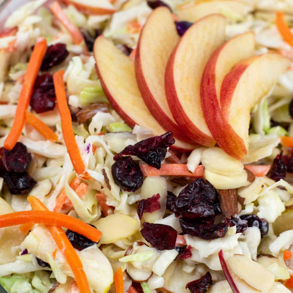 Cranberry Apple Coleslaw