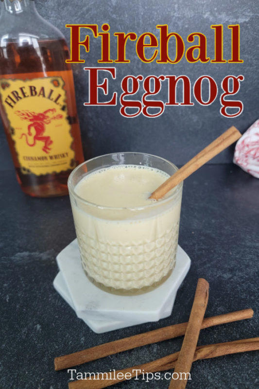 Easy Fireball Eggnog Recipe