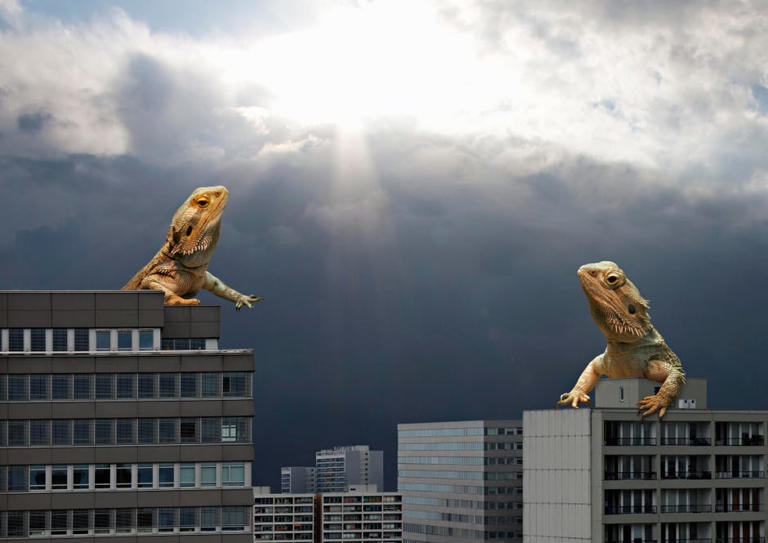 Why We Dream and What They Mean, According to Sleep Experts