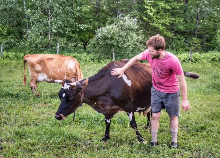 Why Farm Camping in Vermont Should be Your Next Adventure