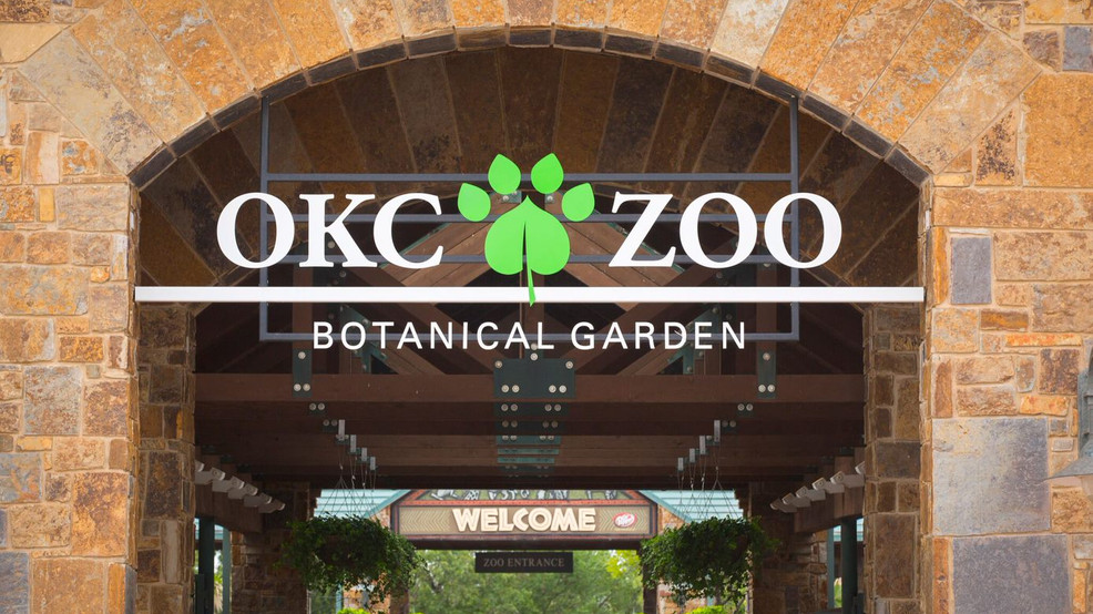 OKC Zoo's Safari Lights to dazzle with nightly tours starting this Saturday