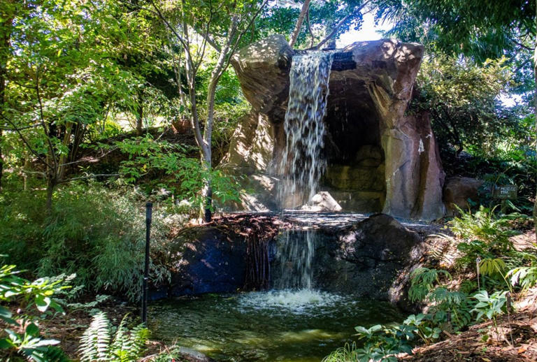 February events 2026: What’s happening in Raleigh (includes Black history)