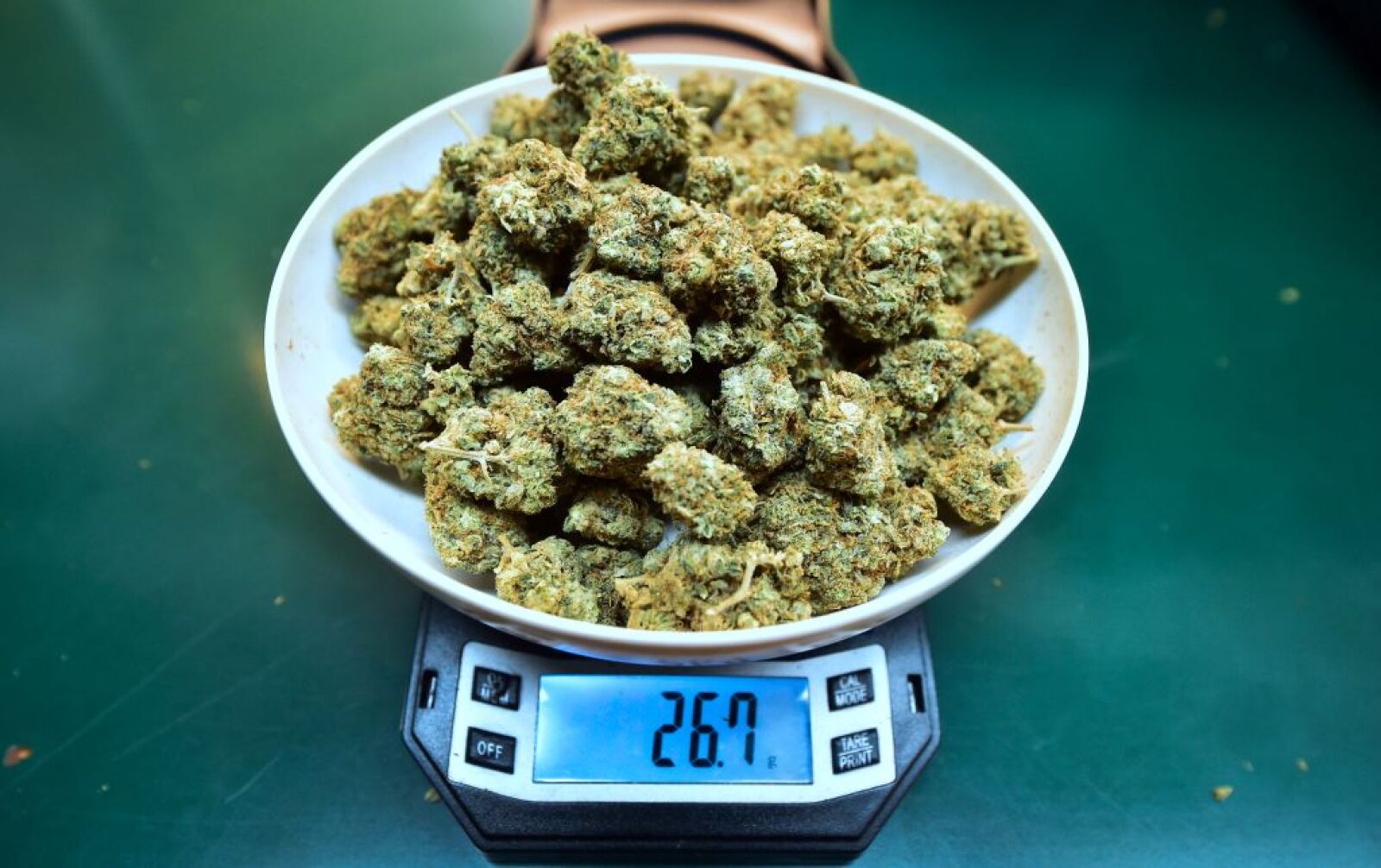 Where Is Marijuana Legal? A Guide to Marijuana Legalization