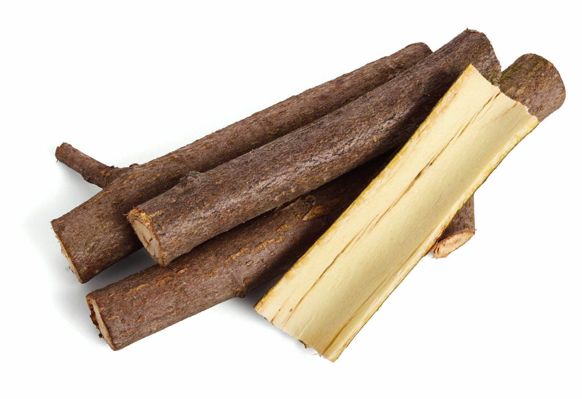 The incredible versatility of tree bark The incredible versatility of tree bark
