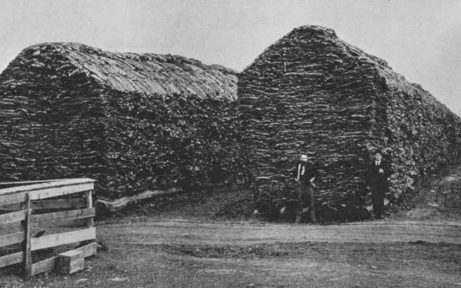 The incredible versatility of tree bark The incredible versatility of tree bark