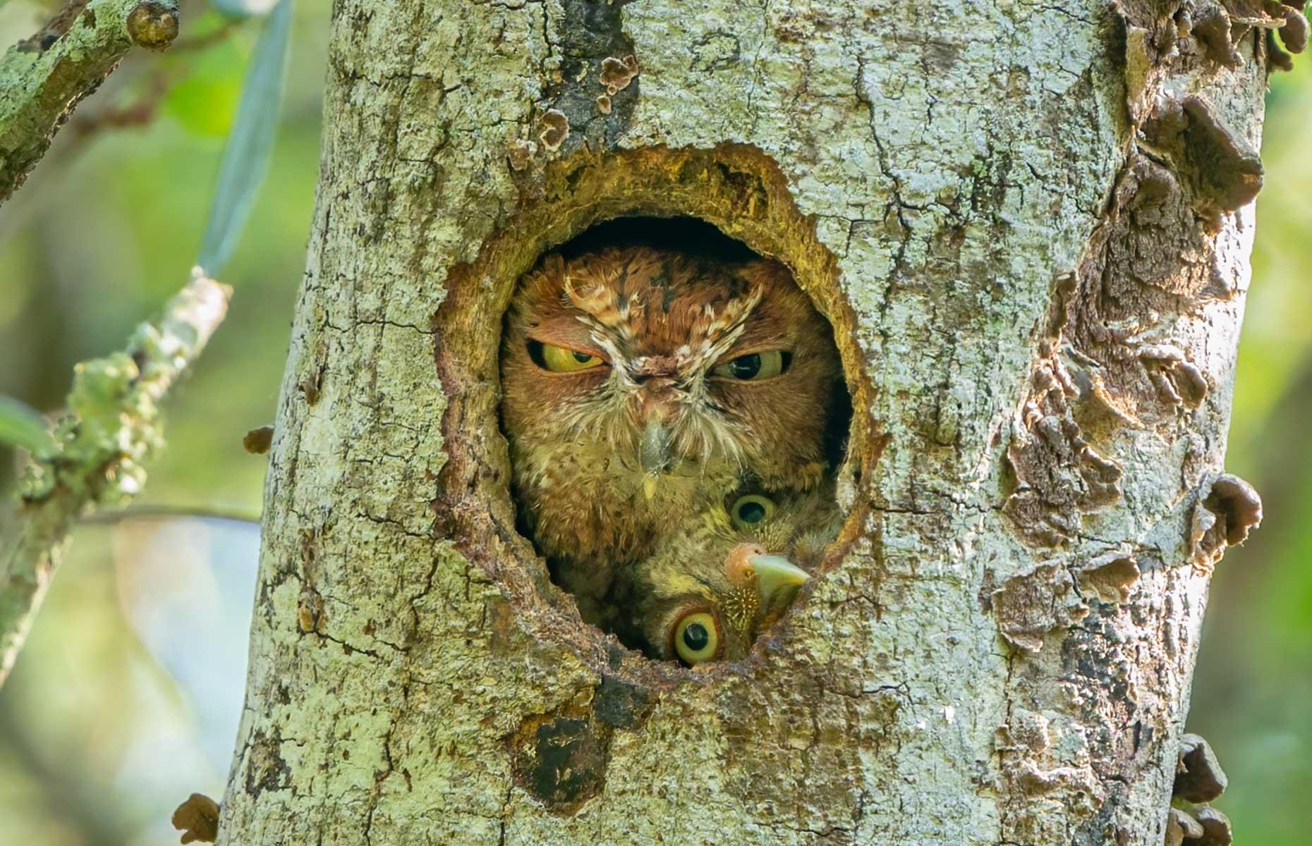 Science-confirmed benefits of having friends