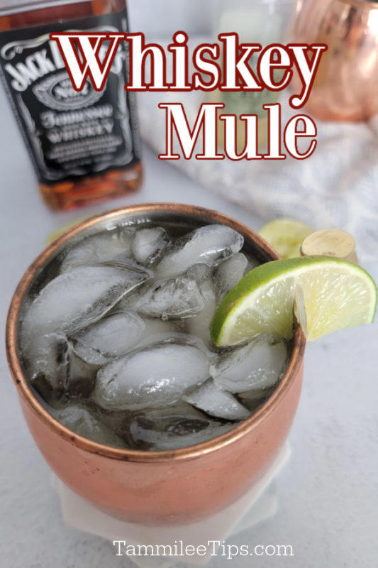 Easy Tennessee Whiskey Mule Recipe