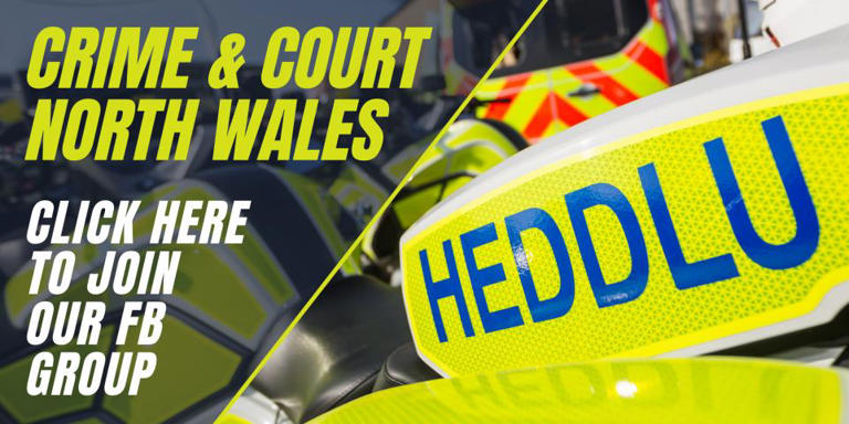 Repeat Sex Offender Jailed After Collecting And Distributing Indecent