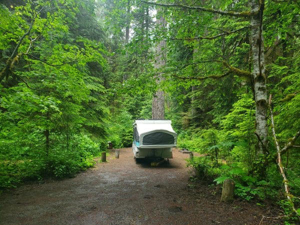 Complete Mt. Rainier Camping Guide