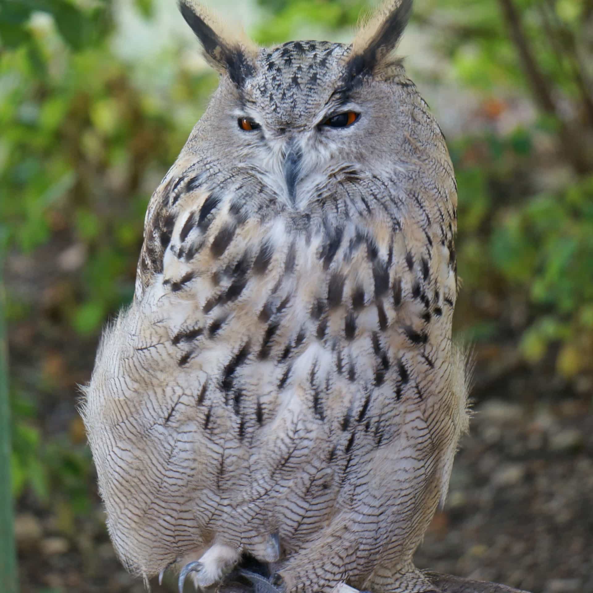 Funniest sayings from around the world