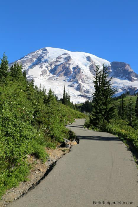 Epic Guide to Paradise - Mt Rainier National Park