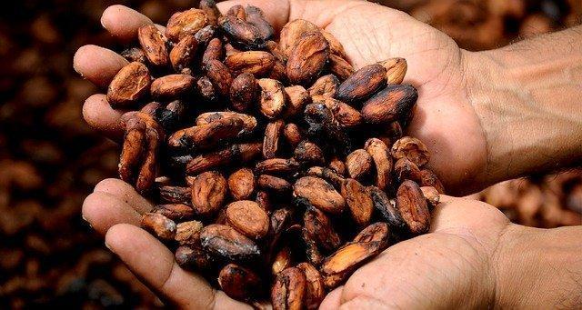 Discover The Benefits of Eating Cacao
