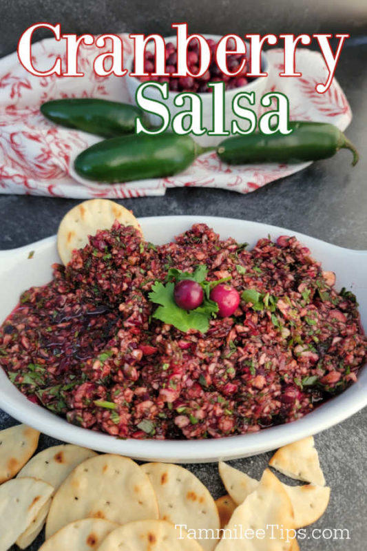 Fresh Cranberry Salsa Recipe (Quick and Easy)