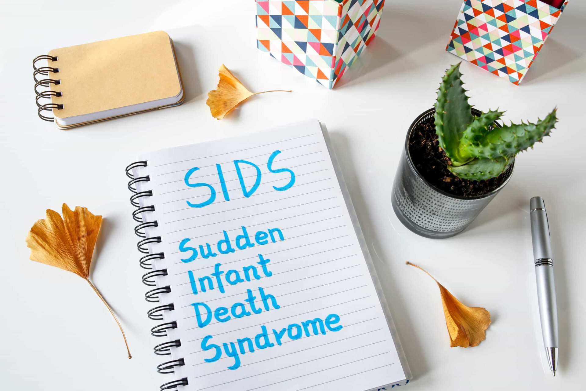 The search to understand sudden infant death syndrome