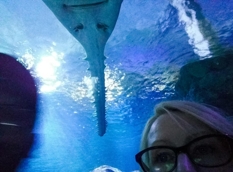 Thinking About a Visit to the Mall of America? Here's Why Our Family ...