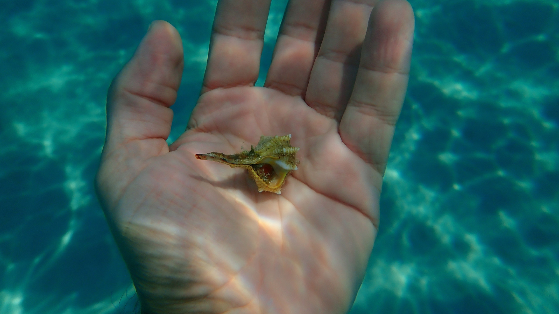 The most dazzling natural dyes of the ancient world