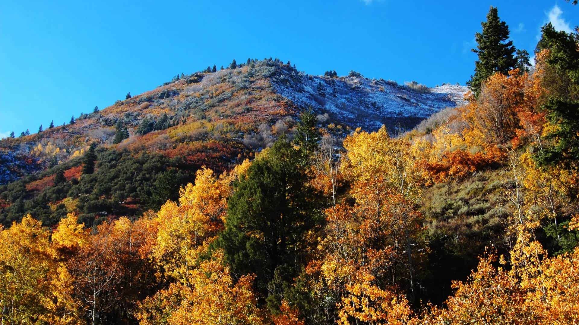 Fall in Utah- 16 Places to Enjoy Utah Fall Colors