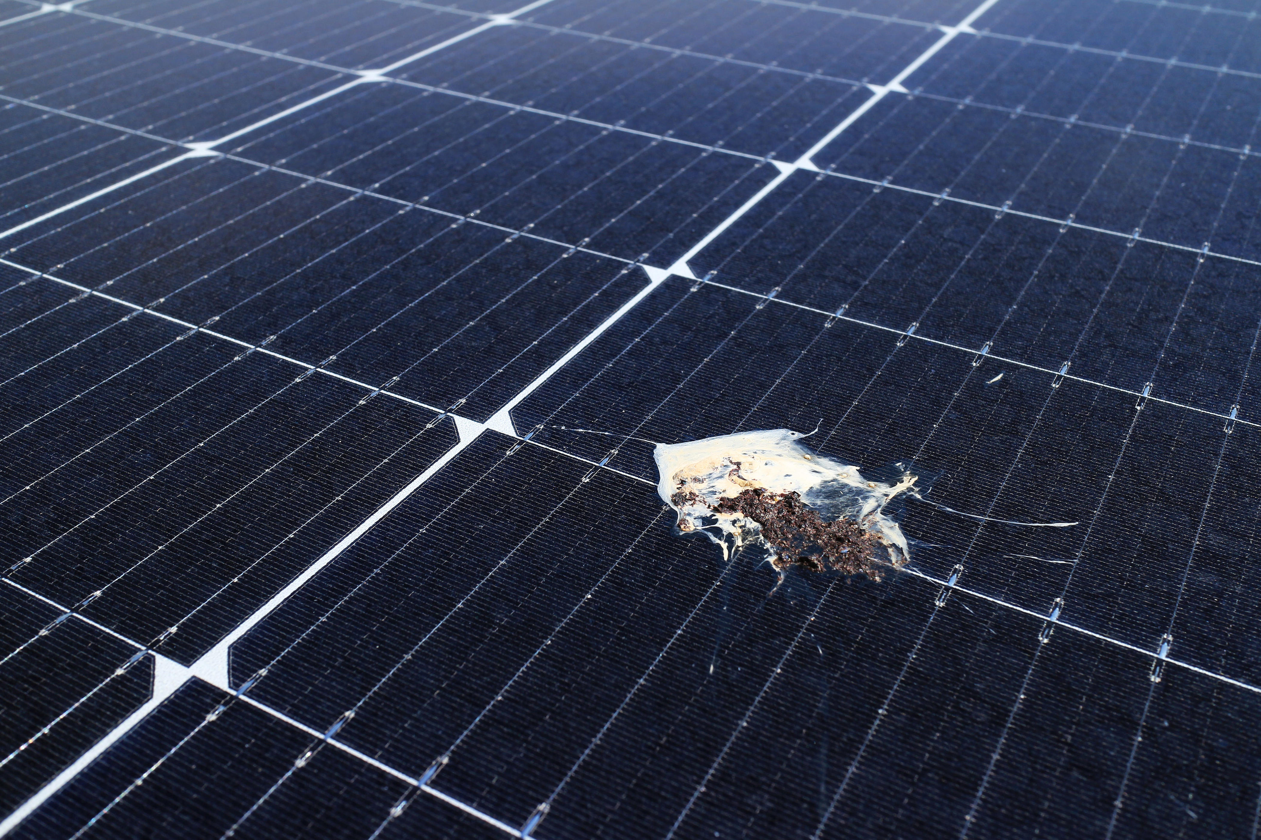Solar Panel Scams: 7 Tips to Avoid Getting Ripped Off