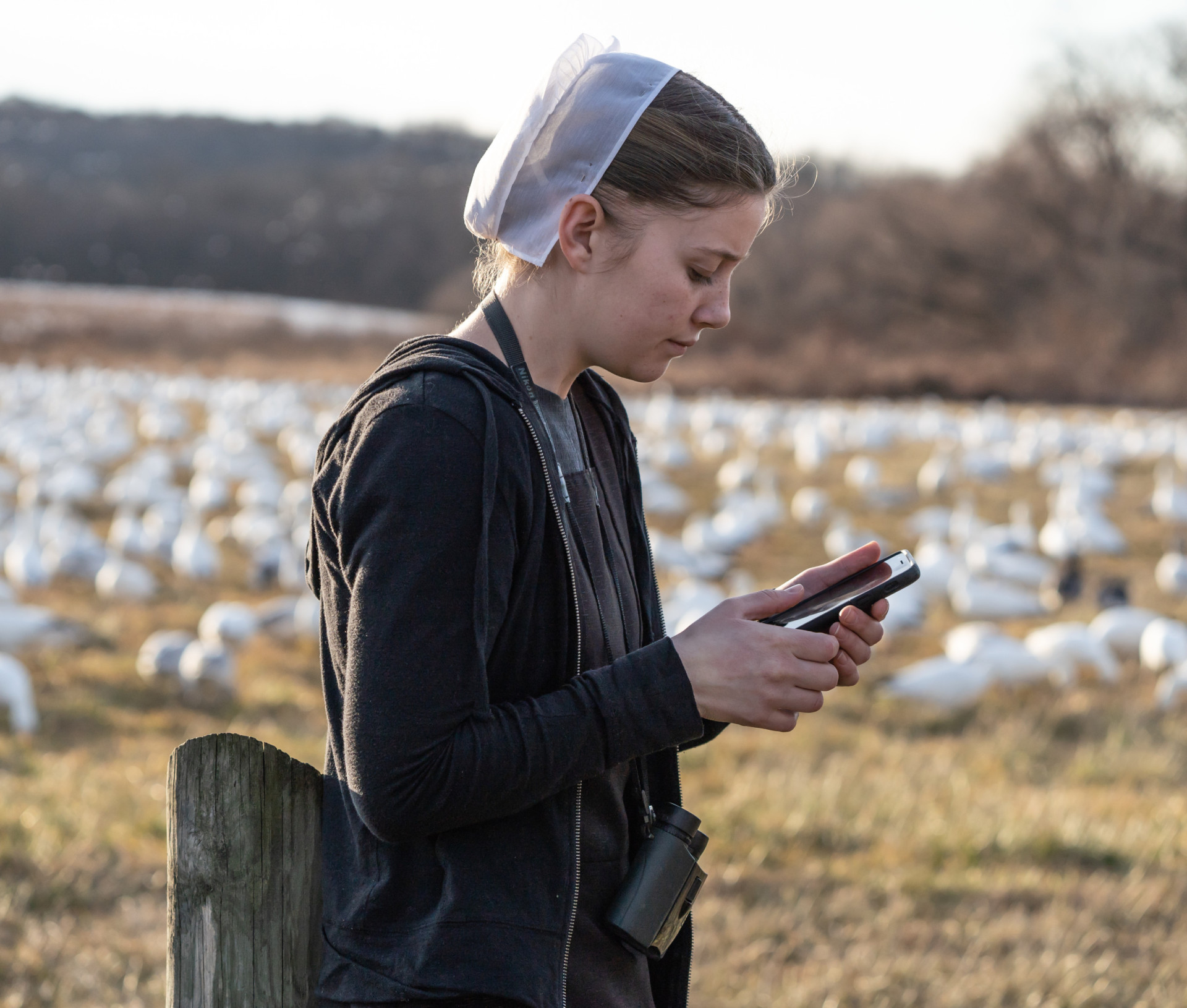 Rules you'd have to follow if you were Amish