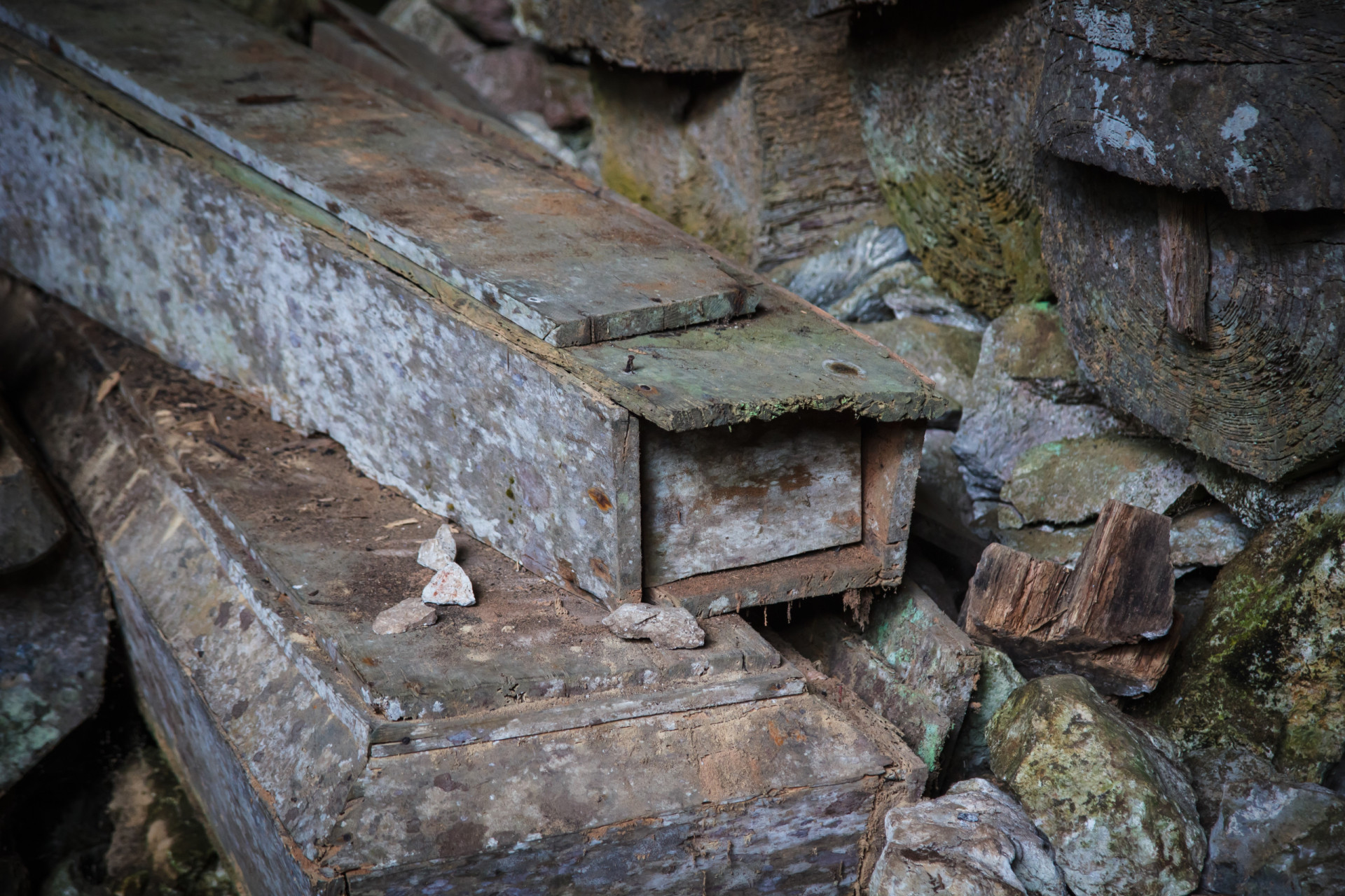 The fascinating story of the hanging coffins of Sagada