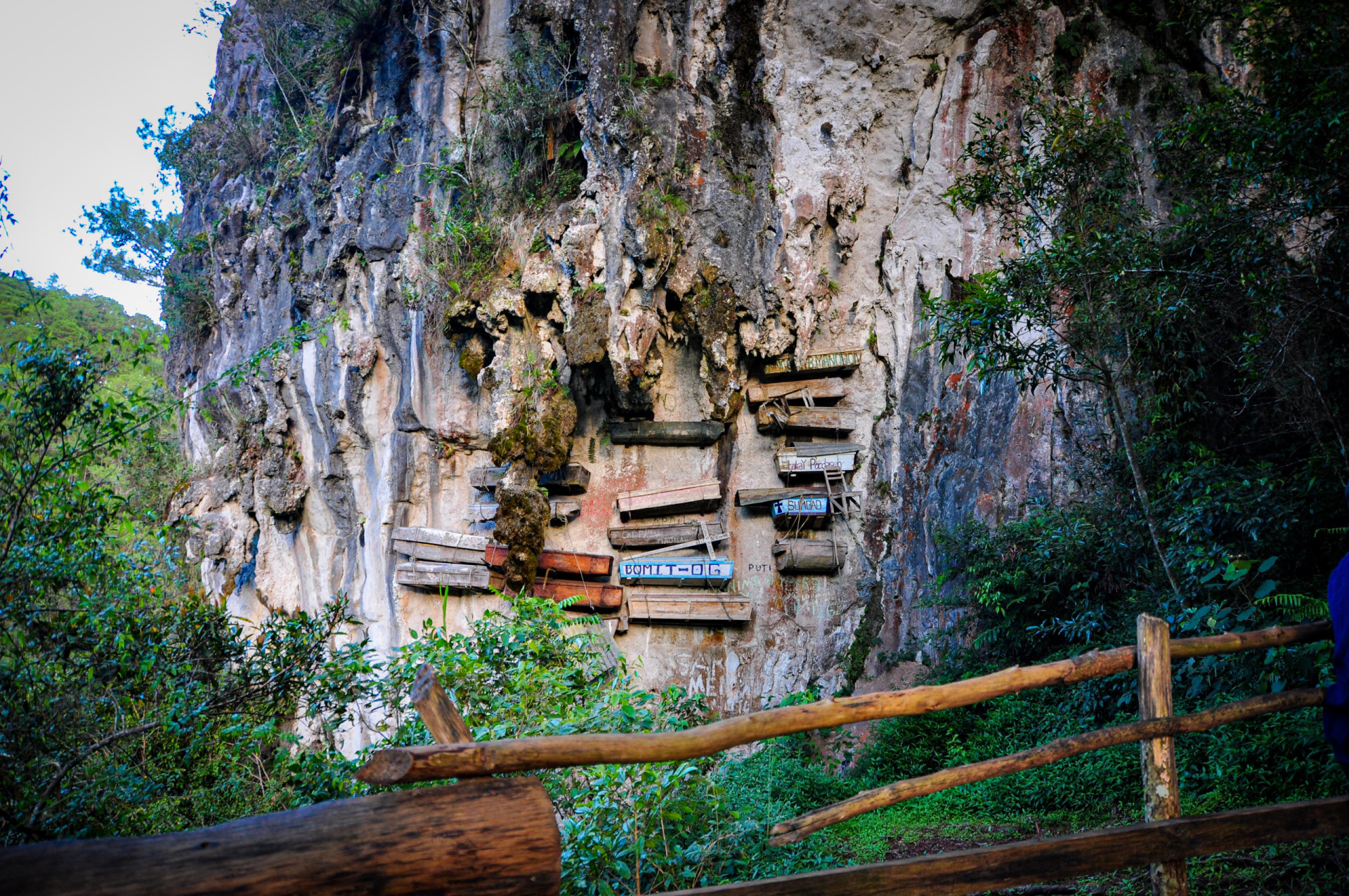 The fascinating story of the hanging coffins of Sagada