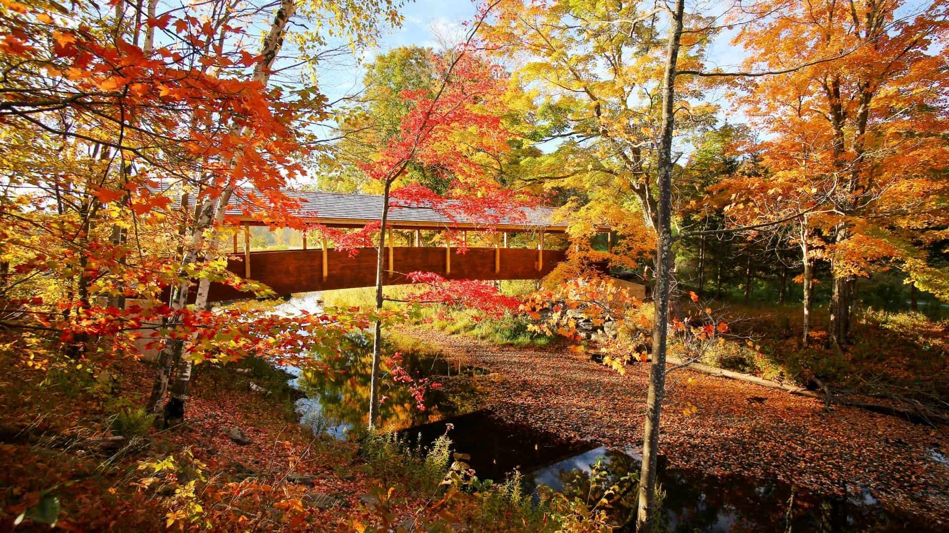17 Great Places to See New York Fall Foliage