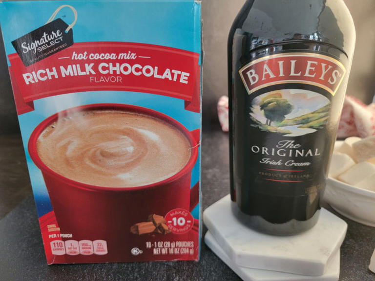 Easy And Delicious Baileys Hot Chocolate Recipe