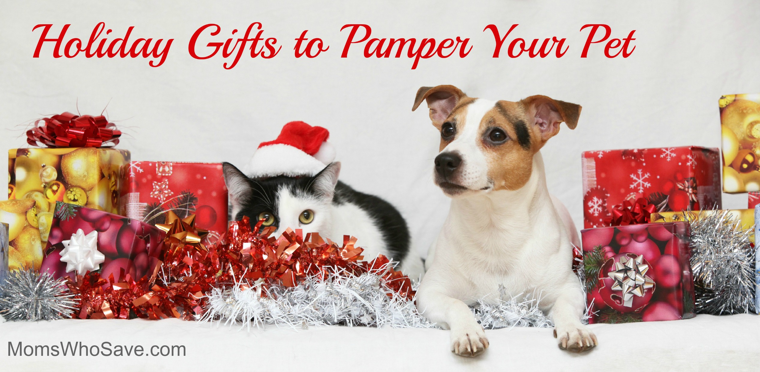 Don't Forget Your Pets:10 Gift Ideas for Your Furry Friends