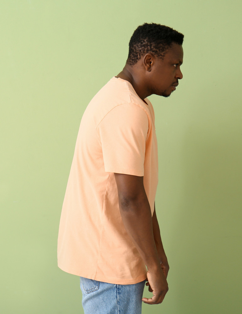 Stiff-person syndrome: the rare disease affecting Céline Dion