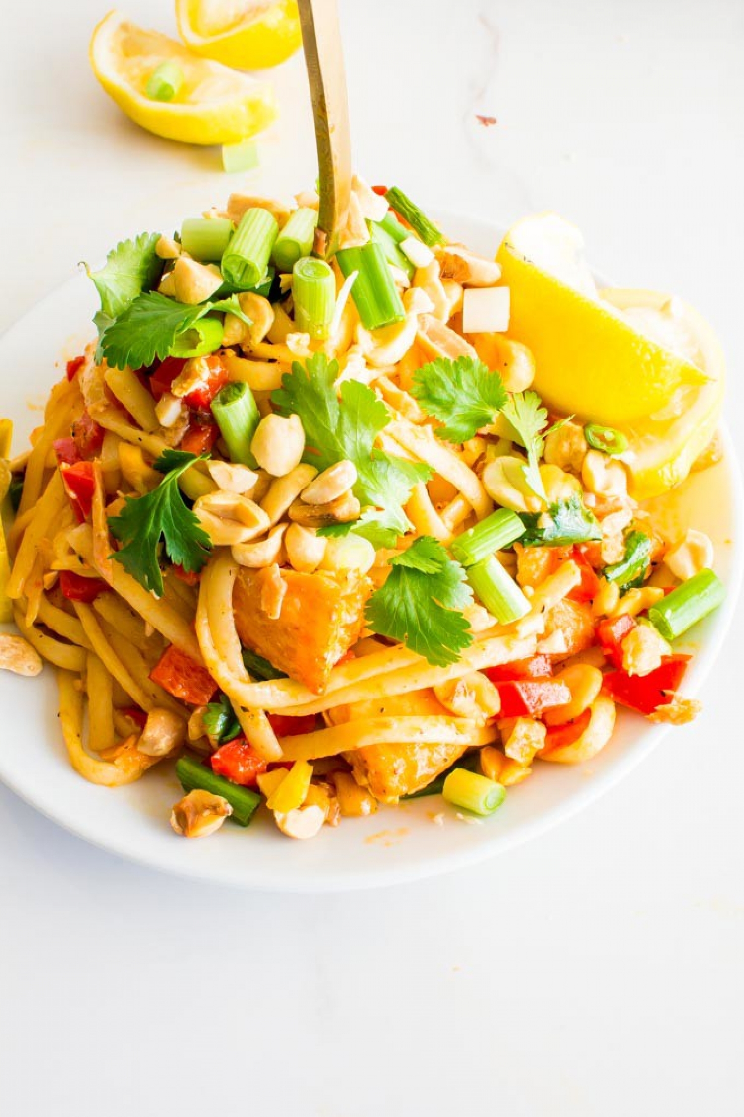 100 Tasty Pasta Dishes that Never Fail to Please