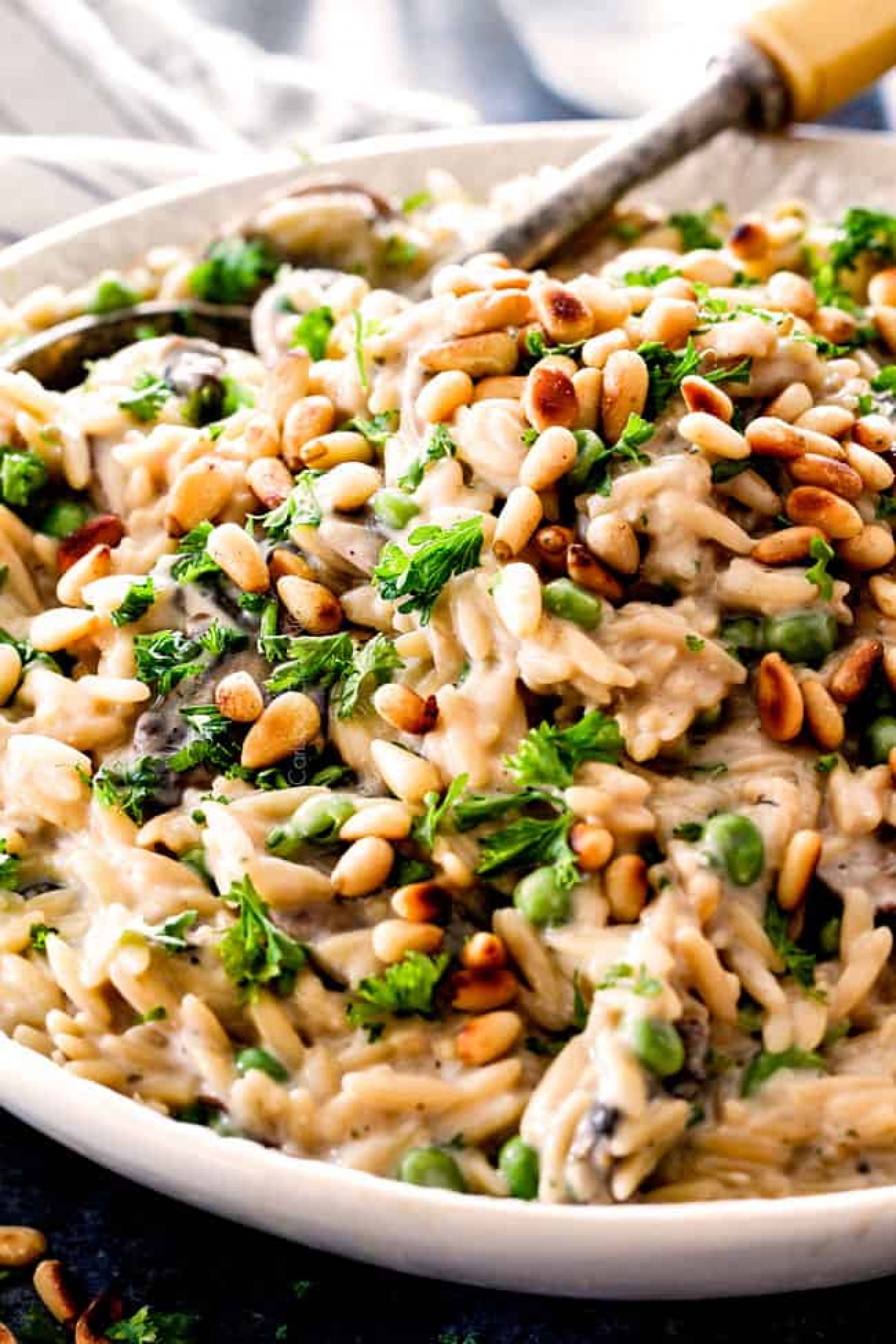 100 Tasty Pasta Dishes that Never Fail to Please