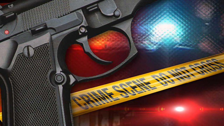 Shooting reported on Pipers Gap Road in Surry County, officers say