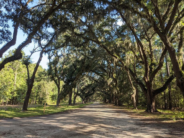Easy 1 day Savannah, Georgia itinerary