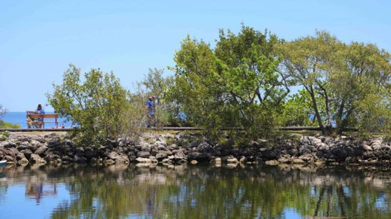 The Best Things to do Biscayne National Park - Florida