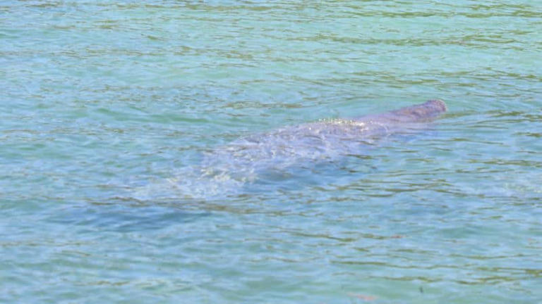 The Best Things to do Biscayne National Park - Florida