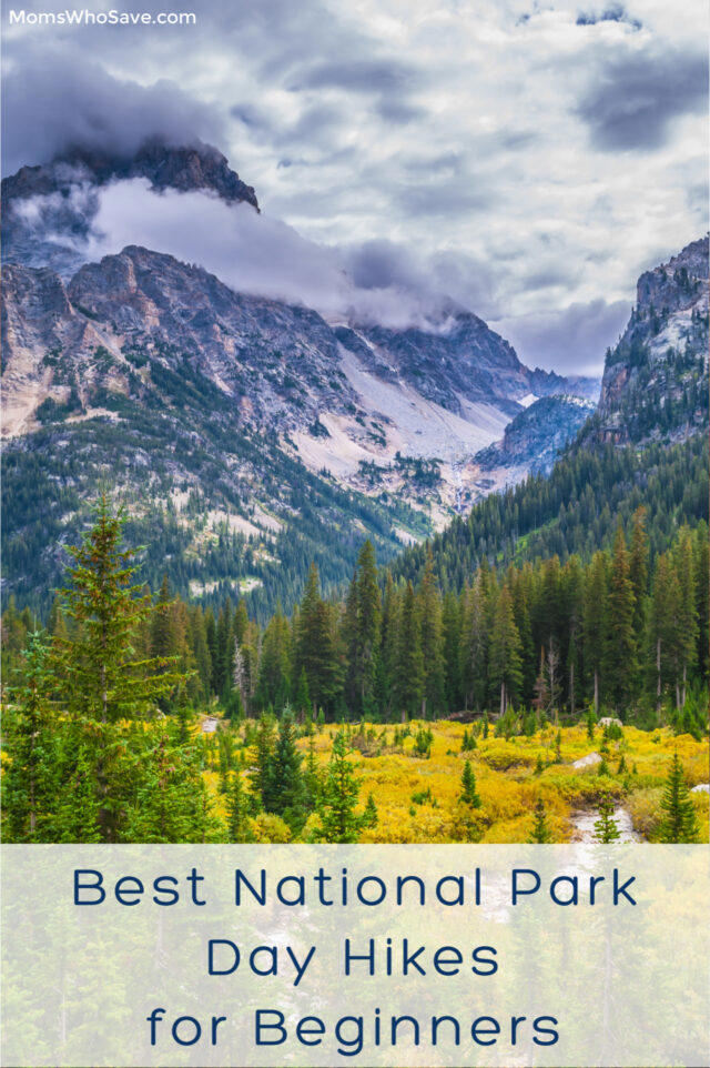 Get Free Admission to National Parks + Check Out Education Programs ...